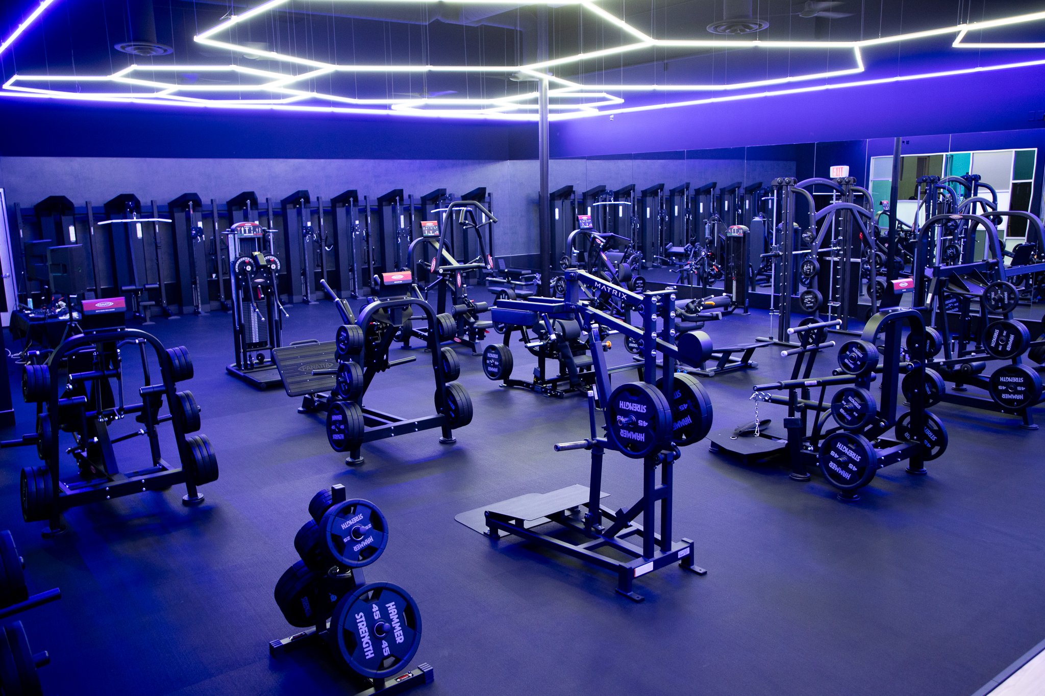 Elevate Your Workout with The Vault | Exclusive Elite Membership Benefits | Vim + Vigor Fitness